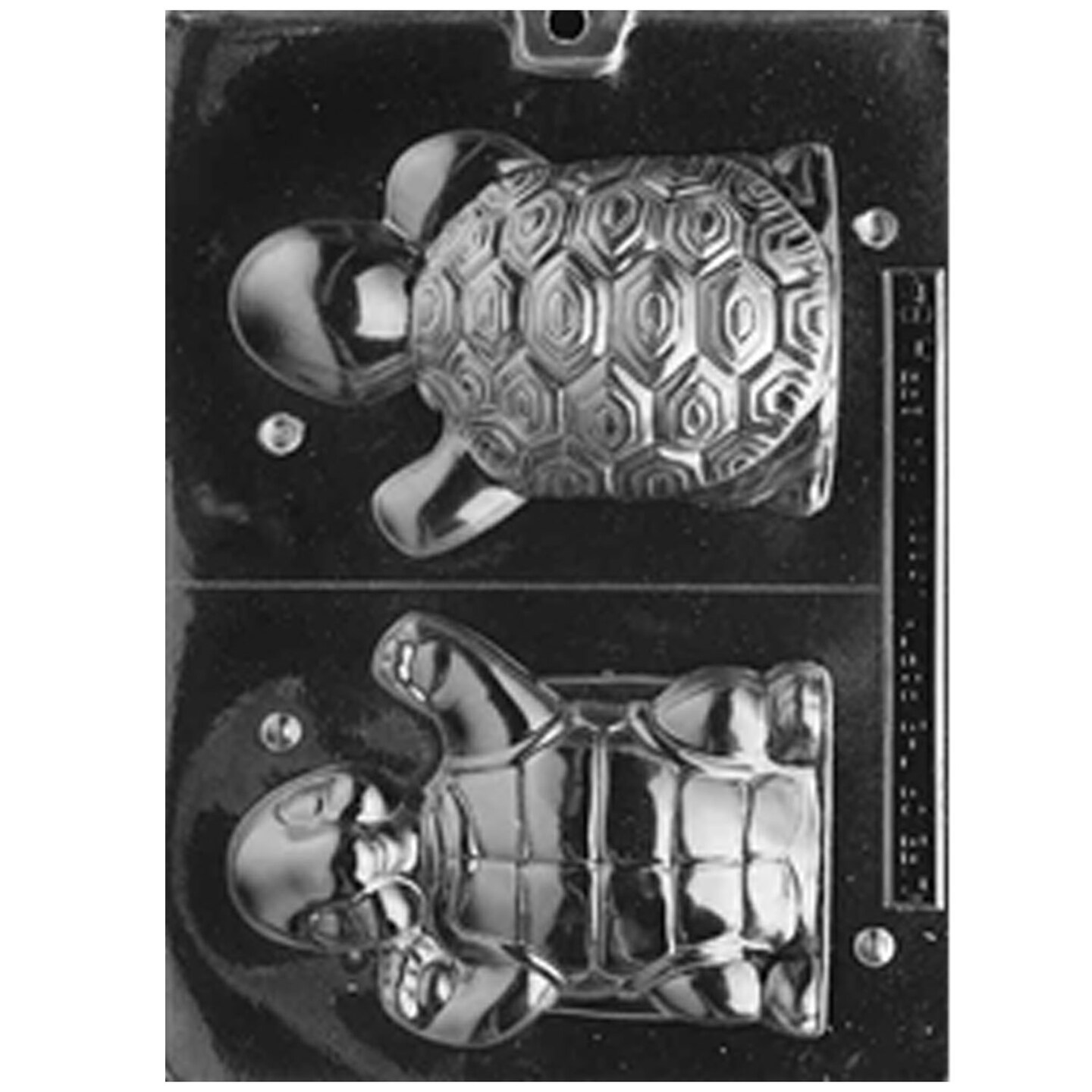 3D Turtle Chocolate Mold | Michaels