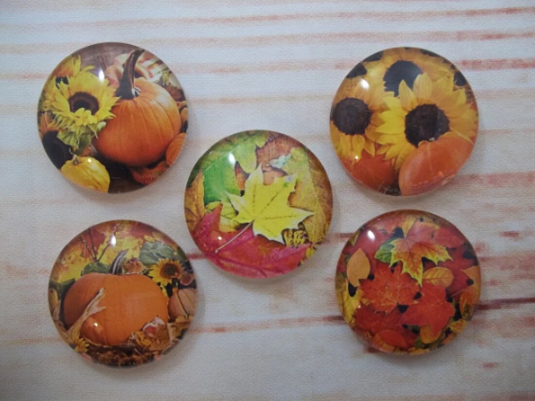 Beautiful Autumn Fridge Magnets | MakerPlace by Michaels