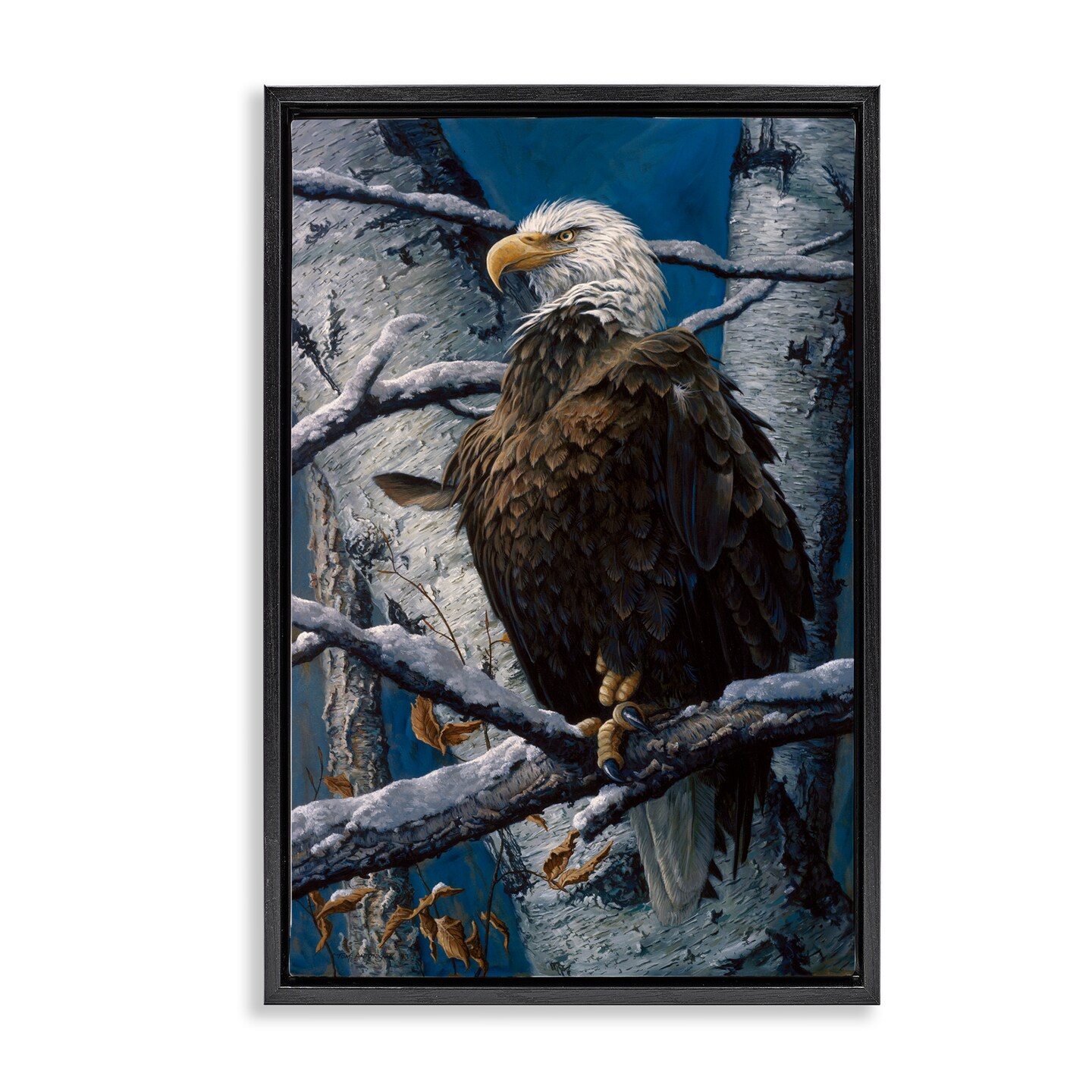 Stupell Industries America's Pride Bald Eagle Floating Frame By Tom ...