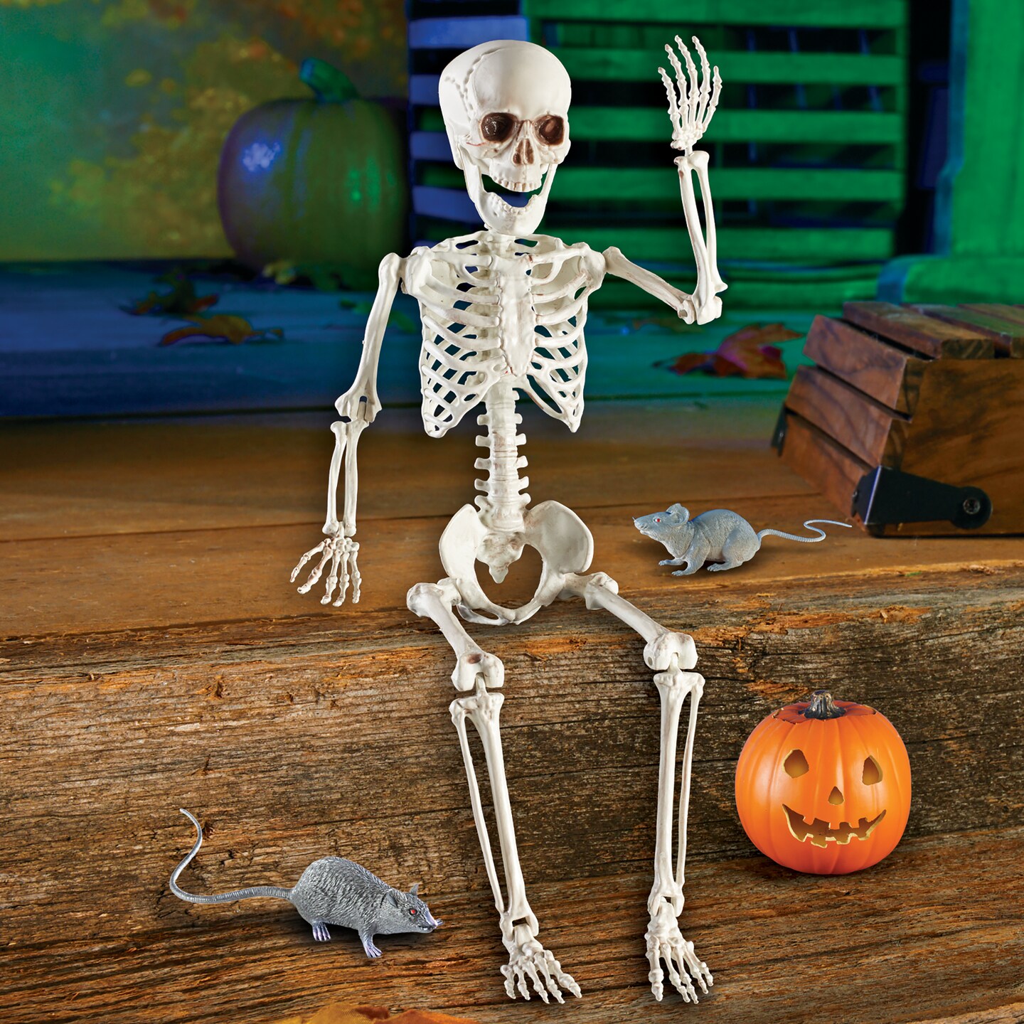 Collections Etc 2-Foot Posable Skeleton Halloween Decoration, Count: 1 ...