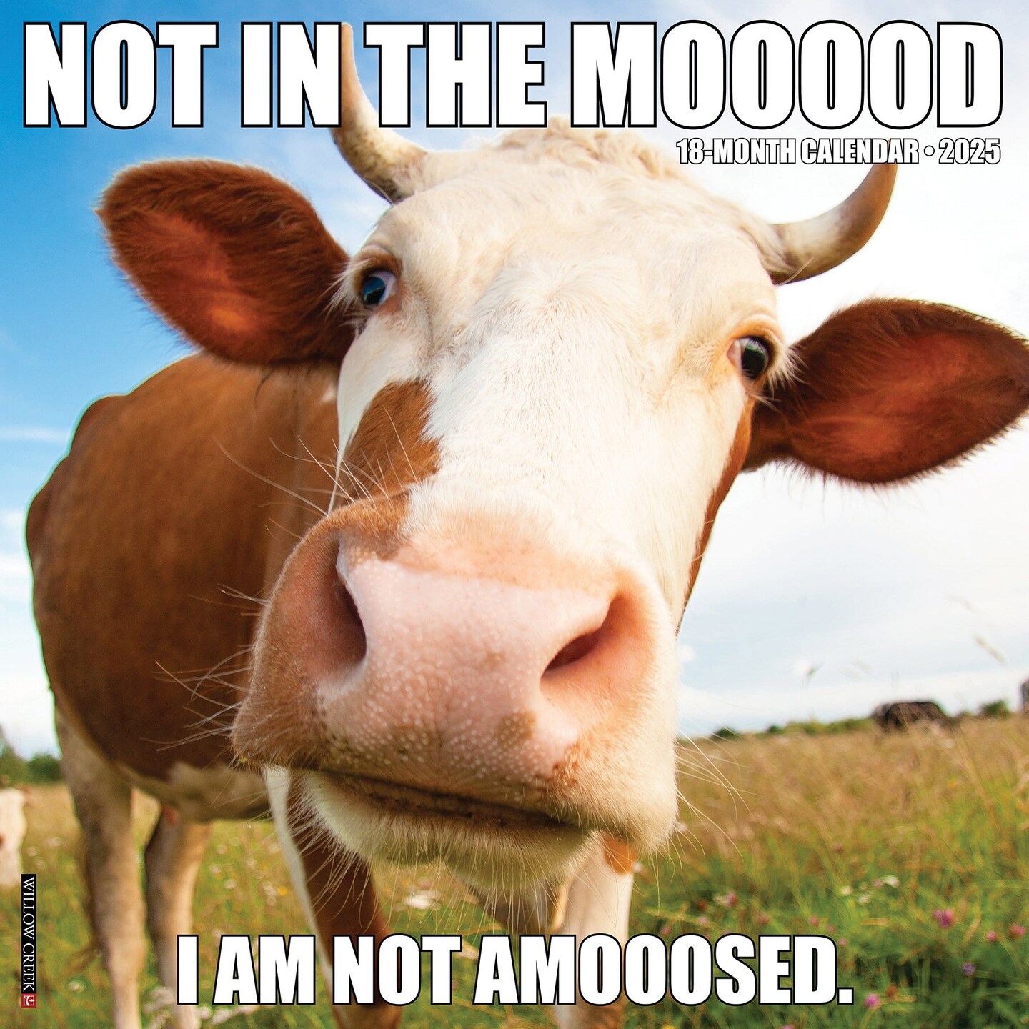 Not in the Mooood 2025 Wall Calendar | Michaels