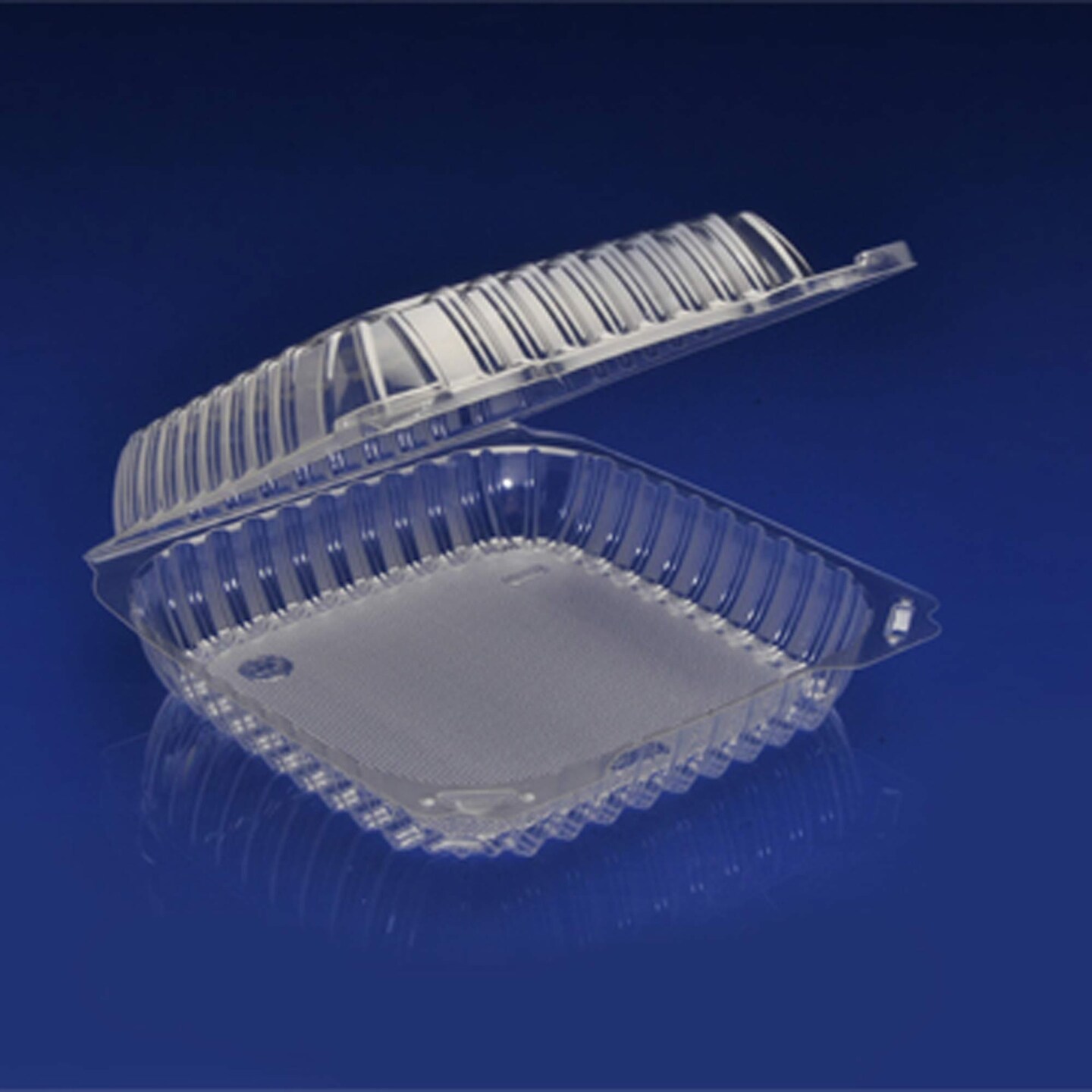 15 Count 9x3" Sol Pak Clear Heavy Duty Hinged Container | Michaels