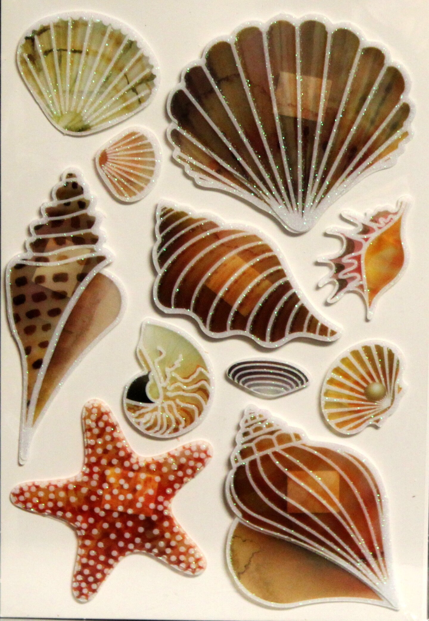 Designer Sea Shells Vellum Glitter Dimensional Sticker | Michaels