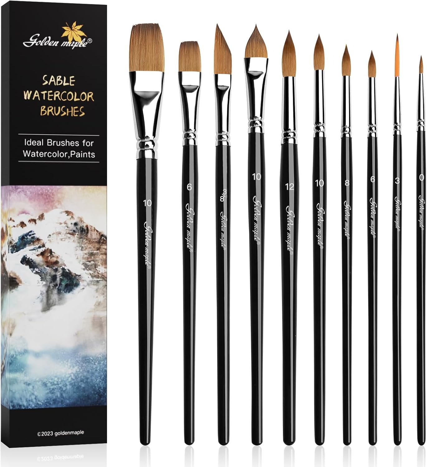 Watercolor Brushes Professional Set, 10 Artist Brushes Watercolor Paint ...