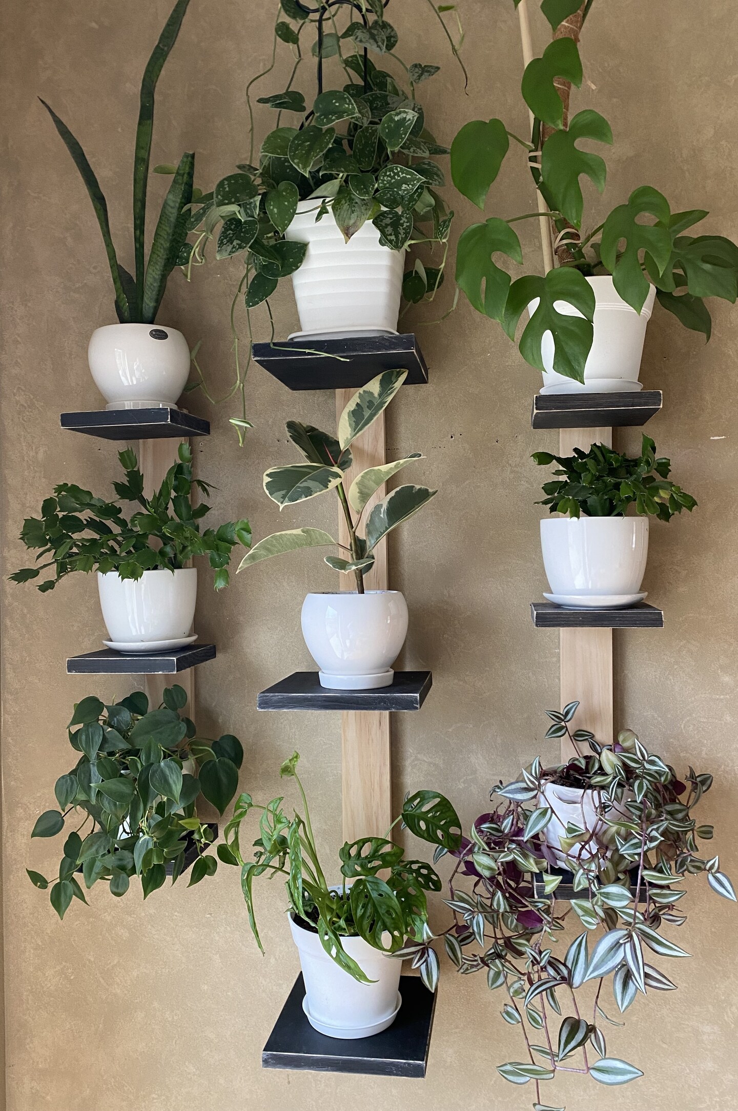 XLG-Plant Shelf, 3-tiered shelf, floating shelf, cat proof shelf, plant ...