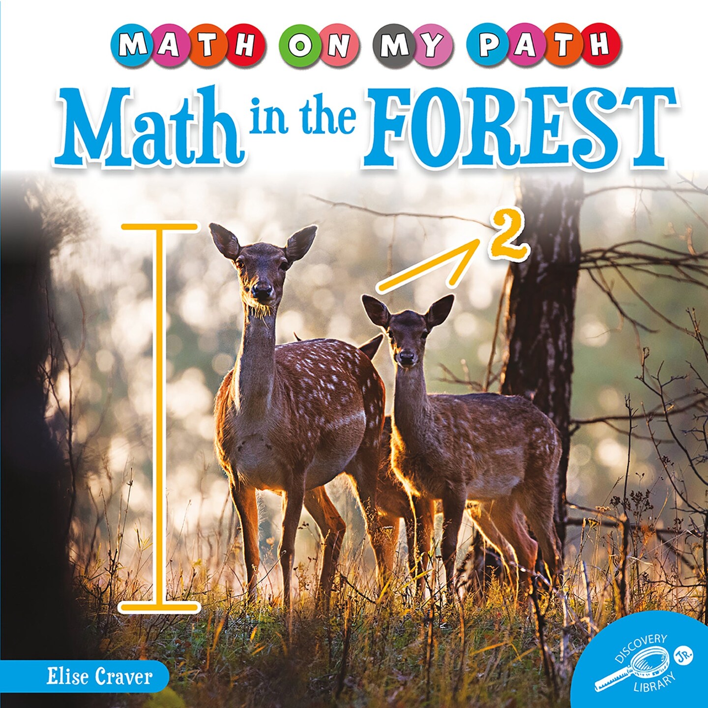 Math in the Forest | Michaels