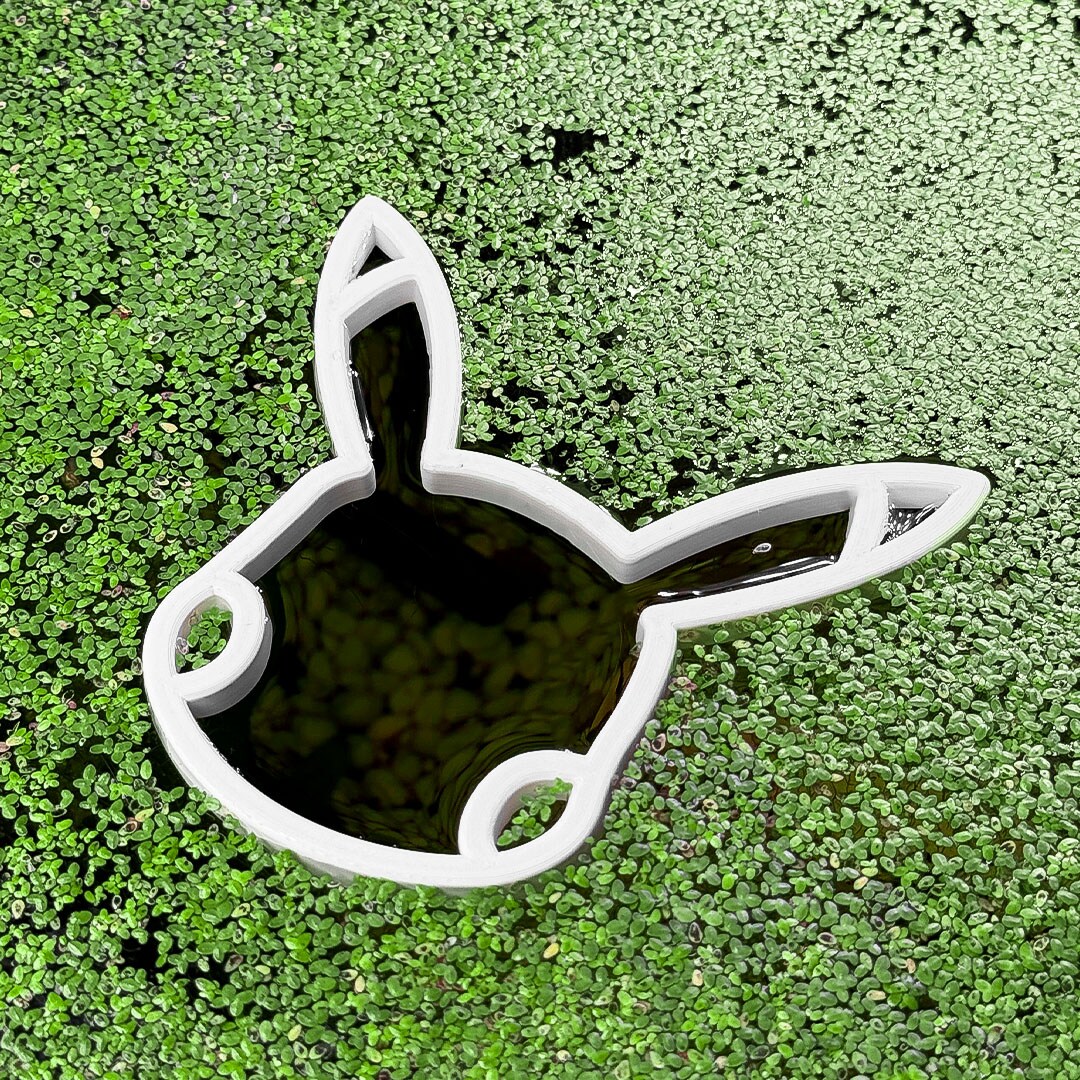 Fish Feeding Portal (Pika Pika Face - Pokeportal) | ALGAE-RESISTANT ...