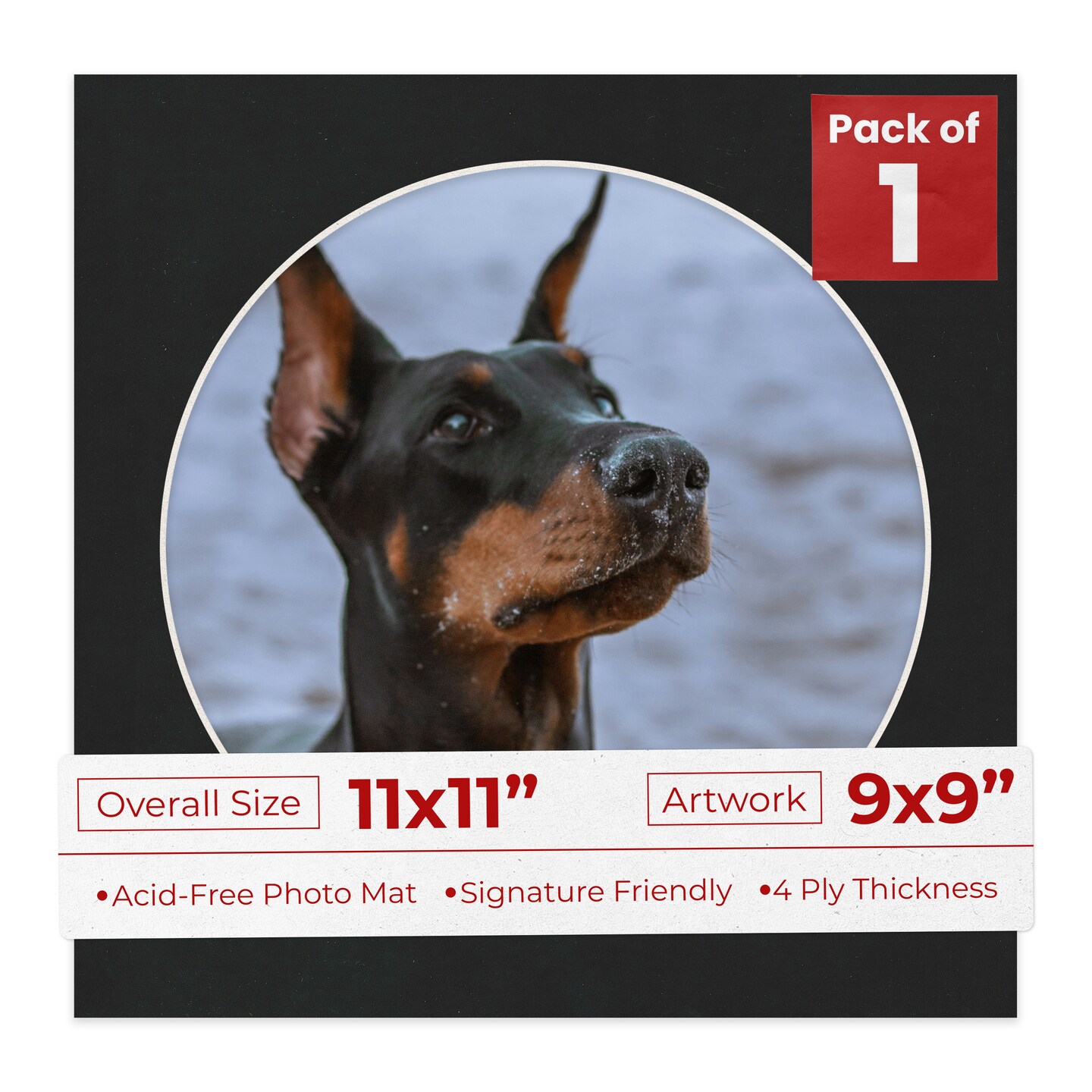 Black Suede Mat Board for 11x11 Frames - Circle Opening for 9x9 Photos ...