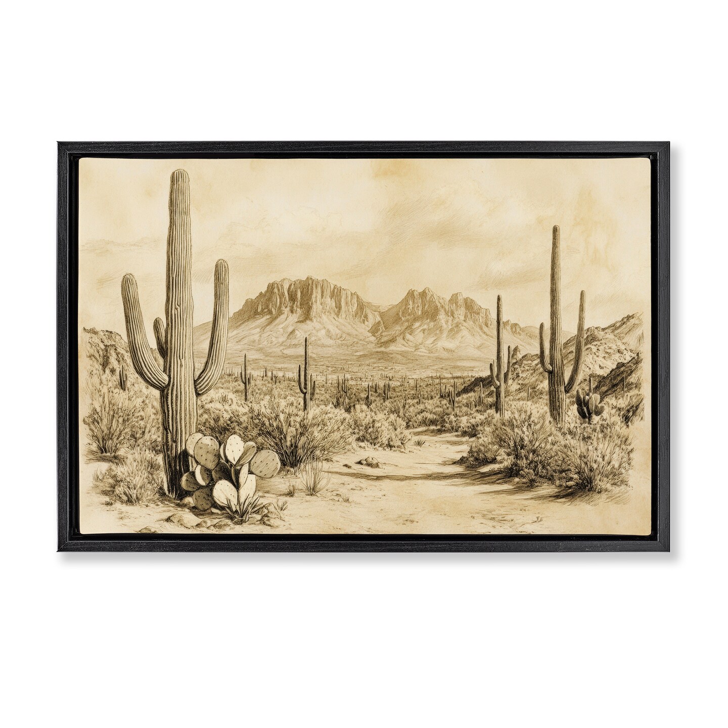 Stupell Industries Cactus Road Vintage Desert Floating Frame, design by ...