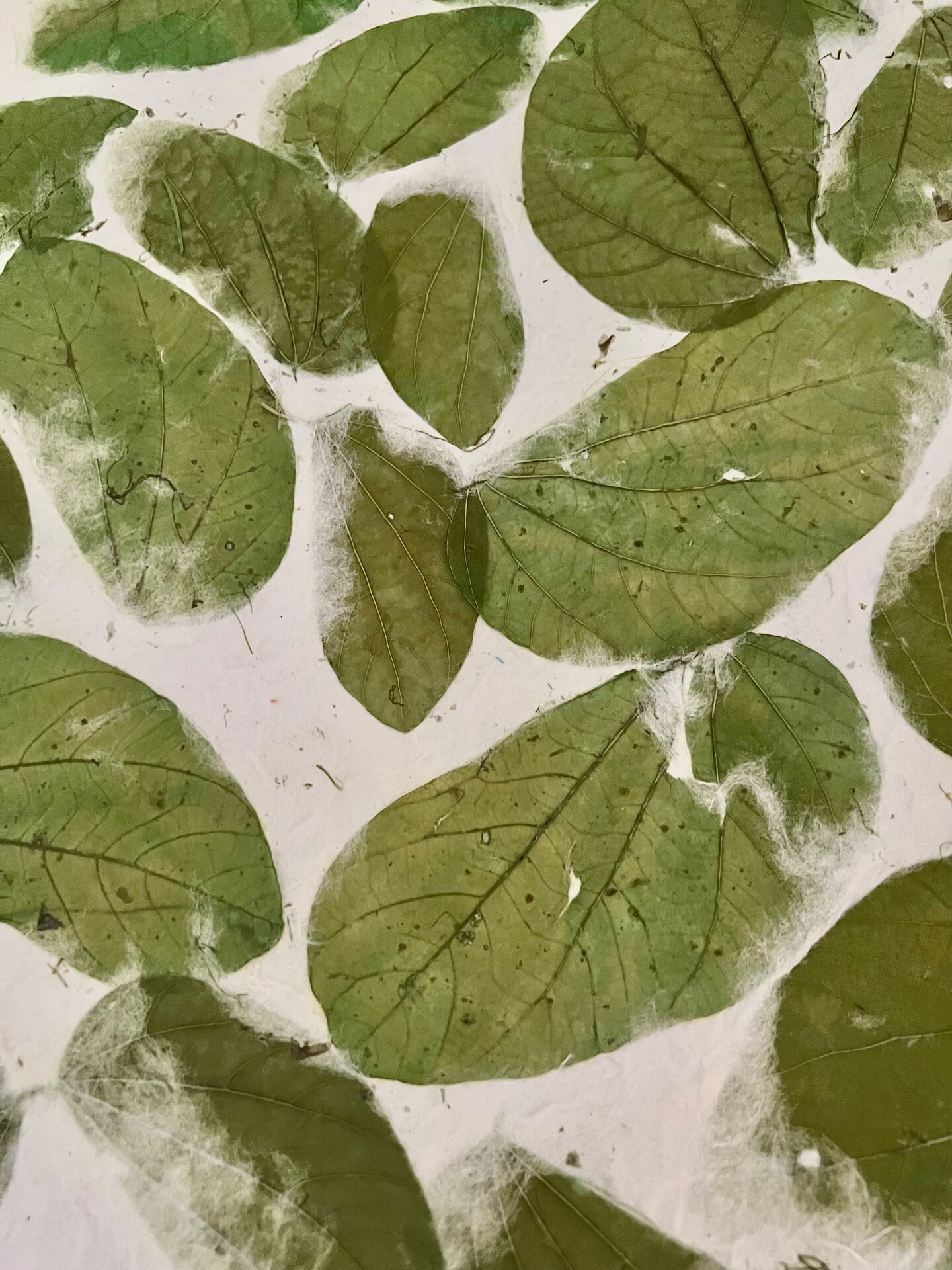 Decorative Natural Green Leaf Paper, Eco Friendly Paper Natural Paper ...