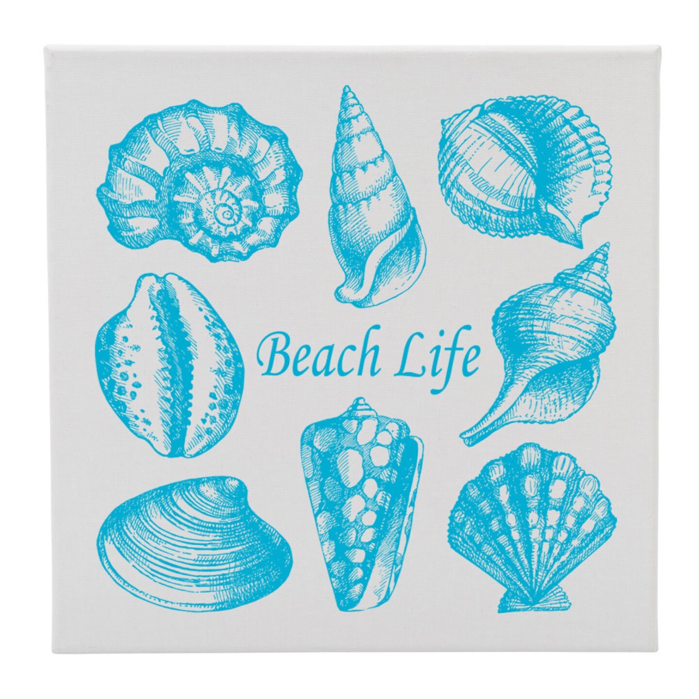 Canvas 12X12 Sea Shells Beach Life | Michaels
