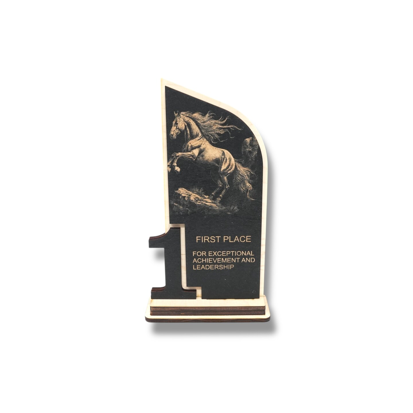 Award - Trophy - CUSTOM - Horse - 1st 2nd 3rd Place - 9x5 Inches | Michaels