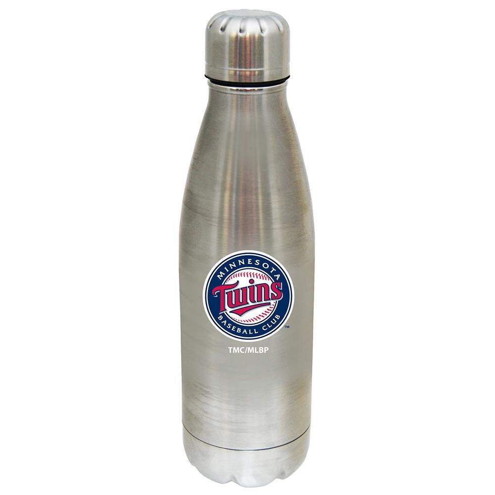 17oz Stainless Steel Water Bottle | Minnesota Twins | Michaels