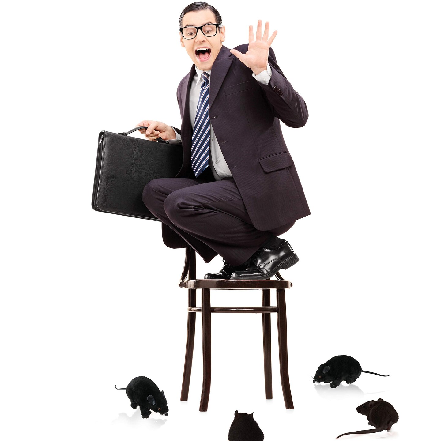 Realistic Black Prank Rat - Real Looking Scary Plush Fake Black Rat ...