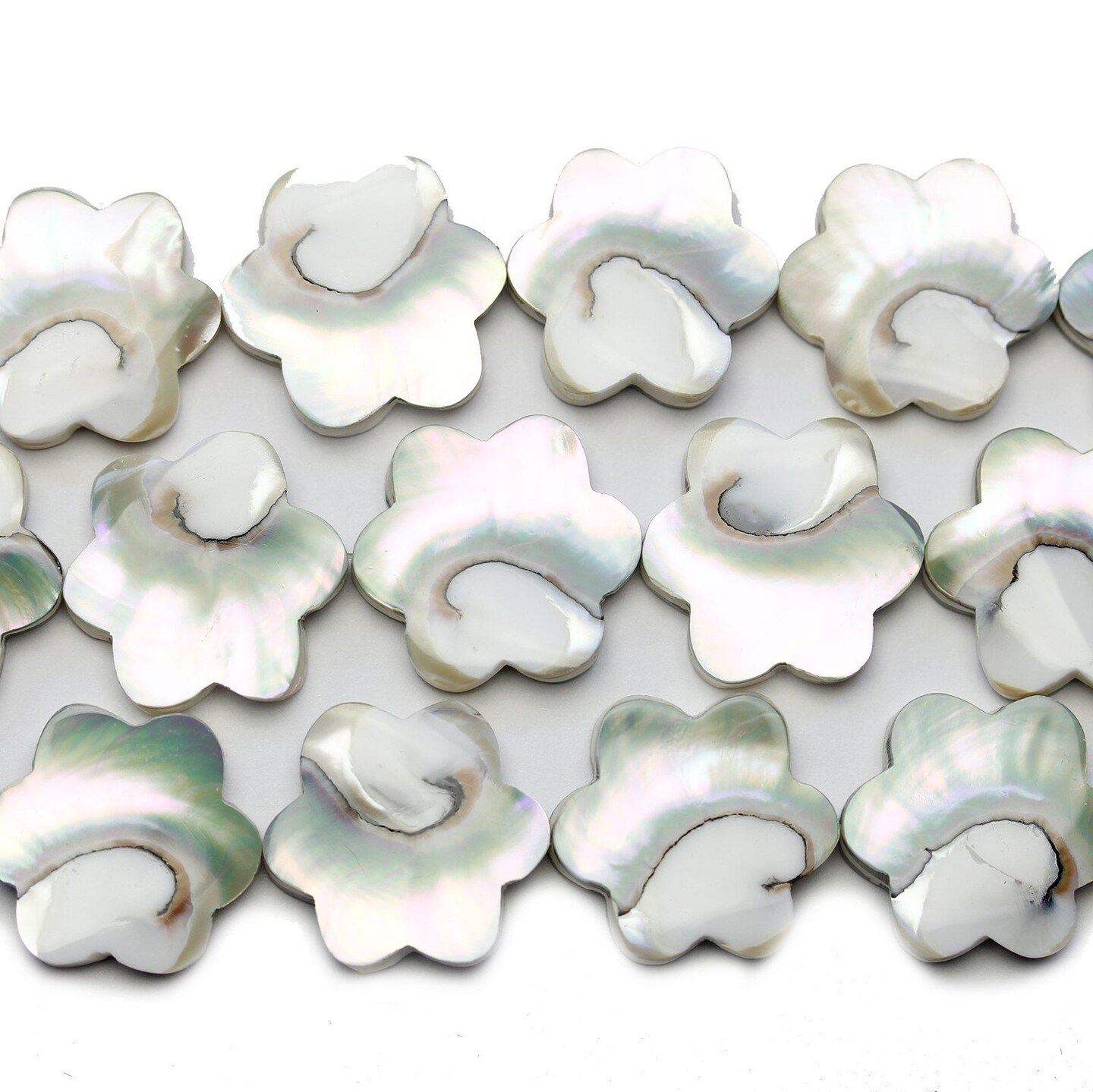 Philippine Natural Tiger's Eye Shell Beads 25mm | Natural Stone, Shell ...