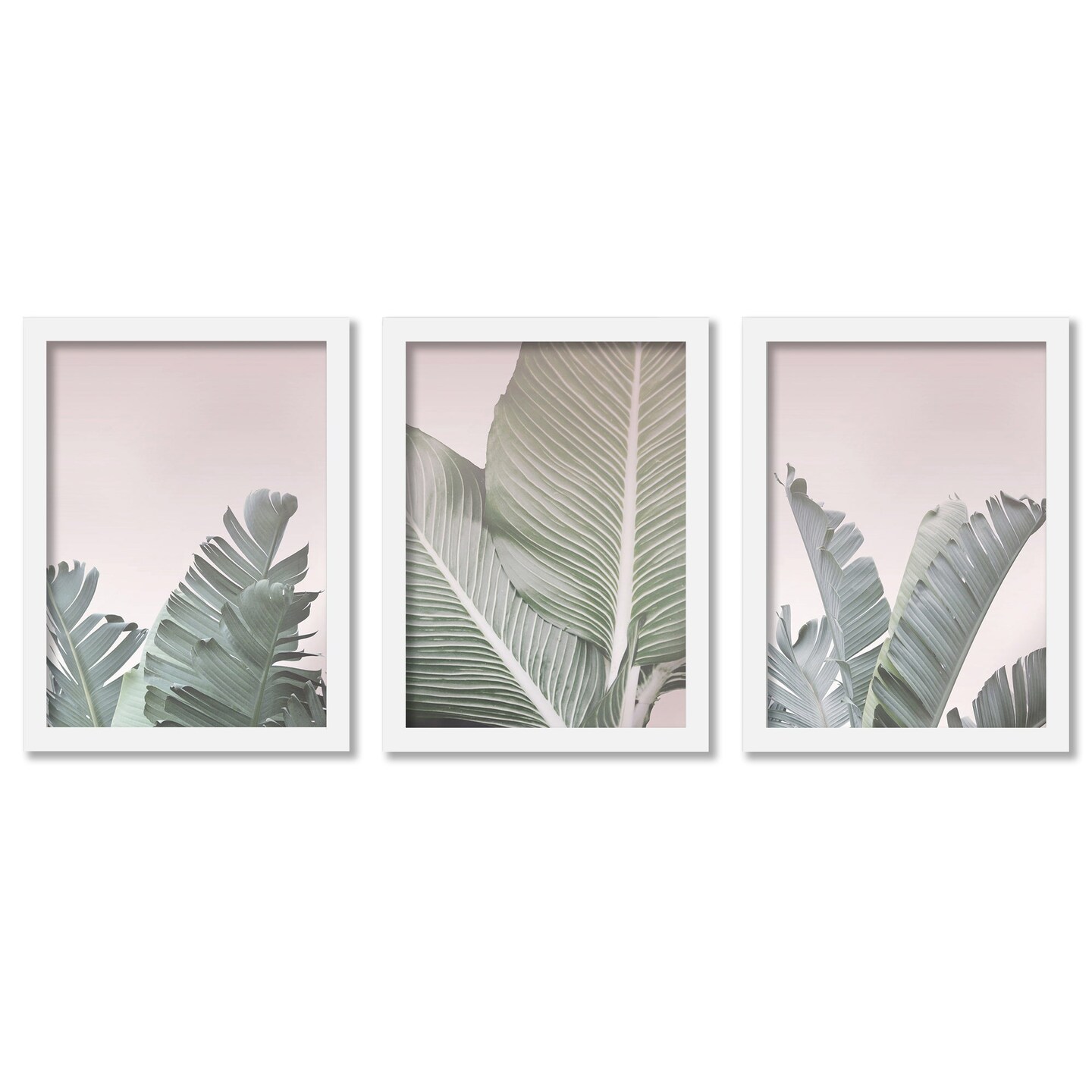 Nature Dreams by Isabelle Z - 3 Piece Gallery Framed Print Art Set ...