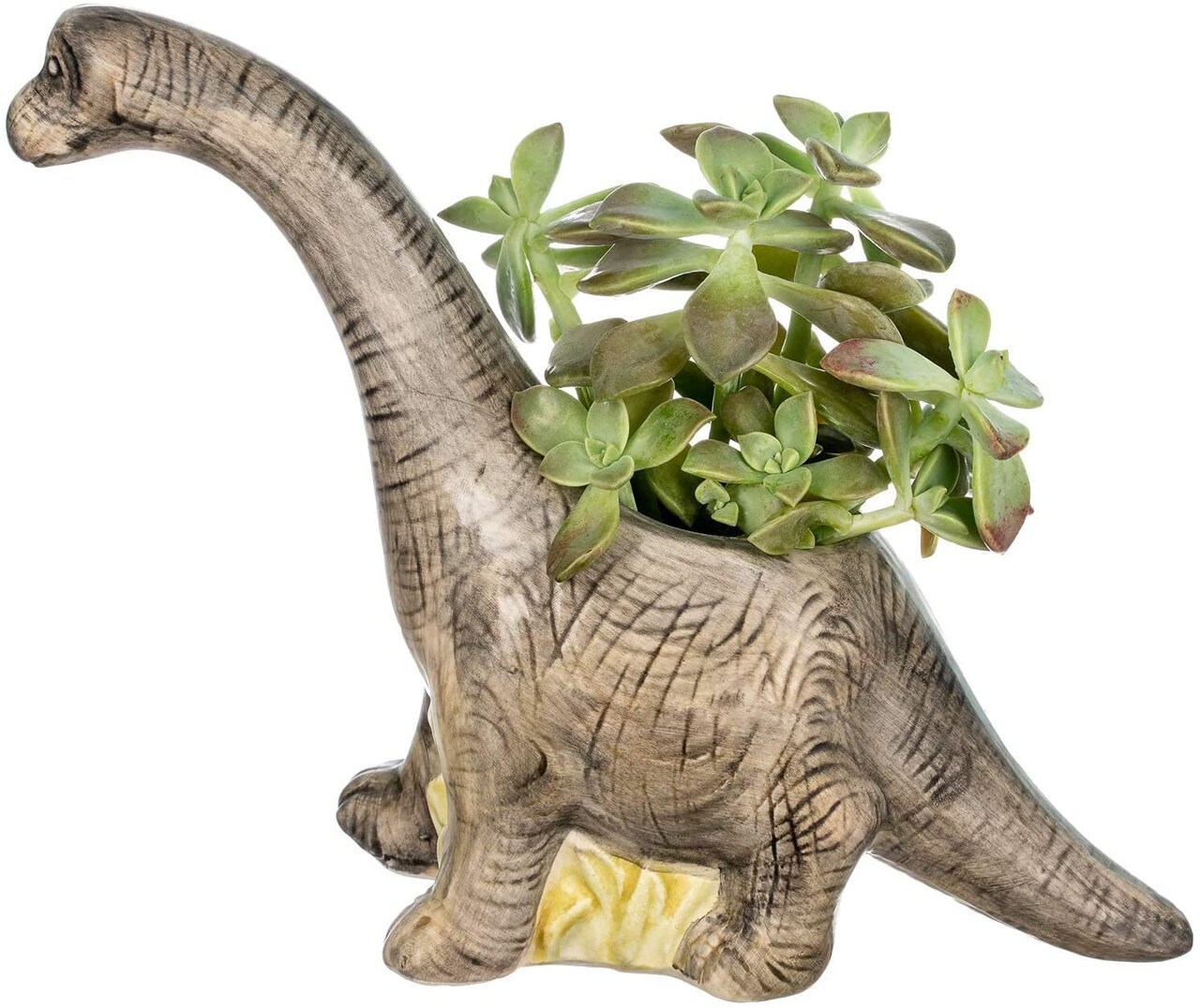 Dinosaur Pencil Holder 9.5" x 7.5" x 3" Ceramic Dinosaur Desk Office ...