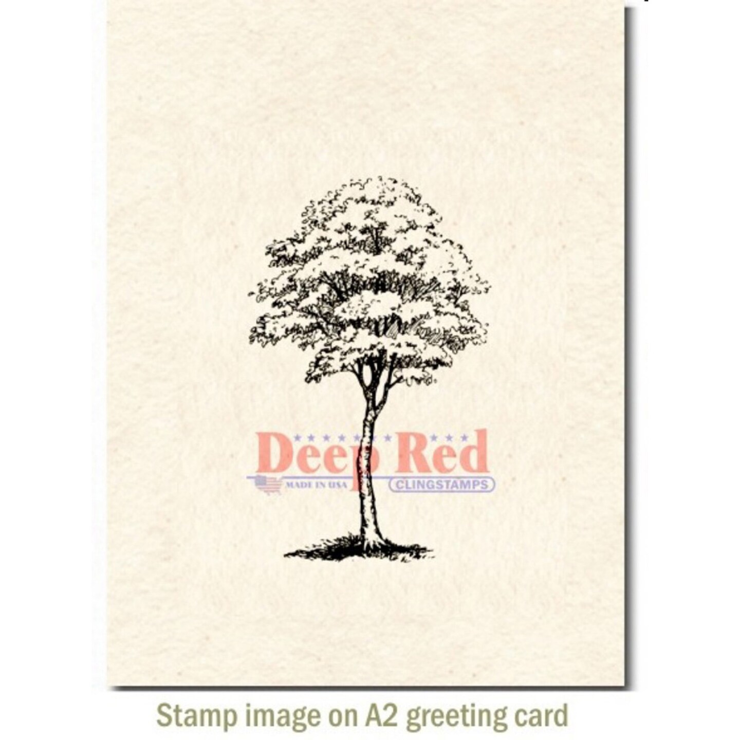 Deep Red Stamps Cottonwood Tree Rubber Cling Stamp 2 x 3.1 inches ...