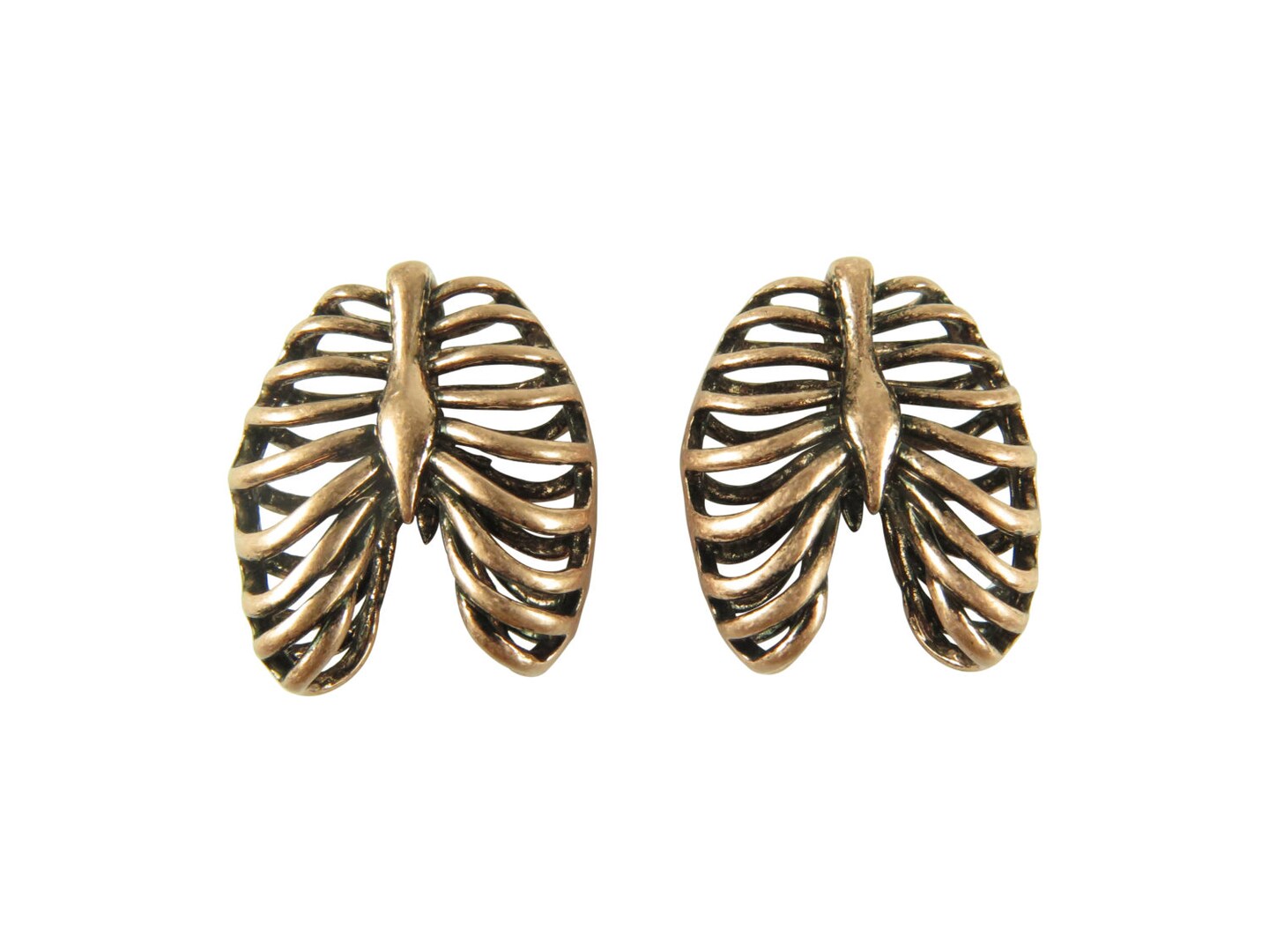 3D Anatomical Rib Cage Pendant (K625) | Michaels