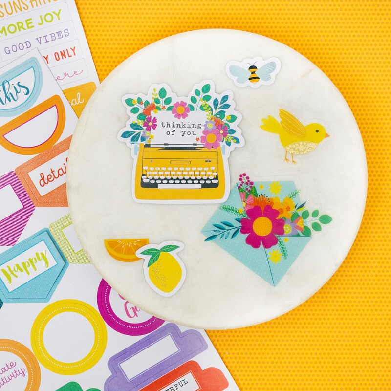 Splendid Sticker Book - Paige Evans | Michaels