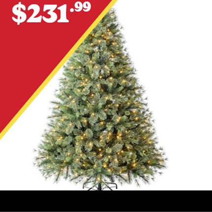 7.5ft. Pre-Lit Jackson Spruce Tree