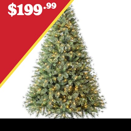 7.5ft. Pre-Lit Jackson Spruce Tree